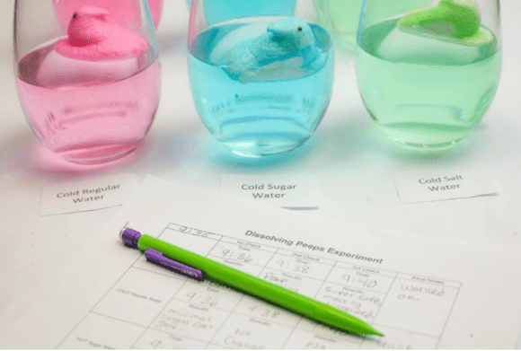 35 Easy Spring STEM Activities - Hands-On Teaching Ideas