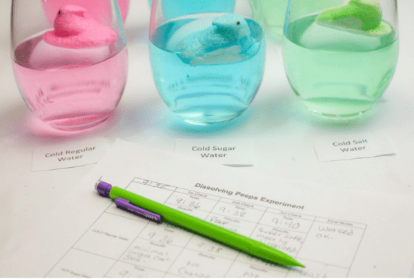 35 Easy Spring STEM Activities - Hands-On Teaching Ideas