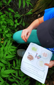 Outdoor Learning Activities Booklet for Kids