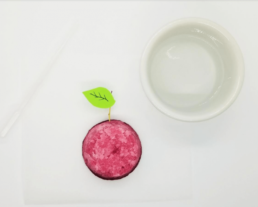 Simple Fizzing Apple Science Experiment