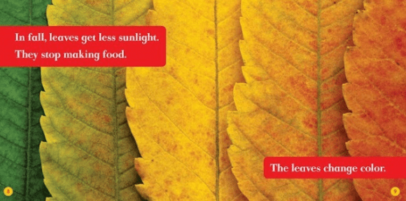 23 Fun Fall Outdoor Learning Activities for Kids