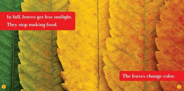 23 Fun Fall Outdoor Learning Activities for Kids