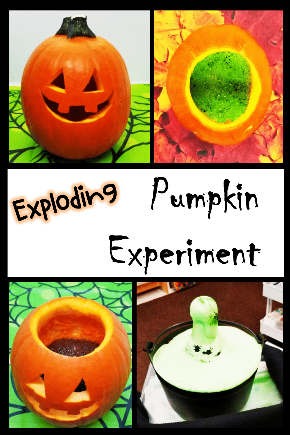 Fall Activities - Hands-On Teaching Ideas