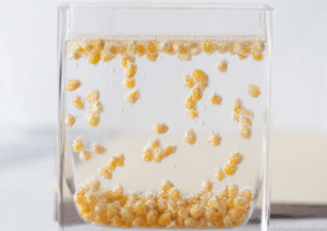 39 Halloween STEM Activities Kids will Love