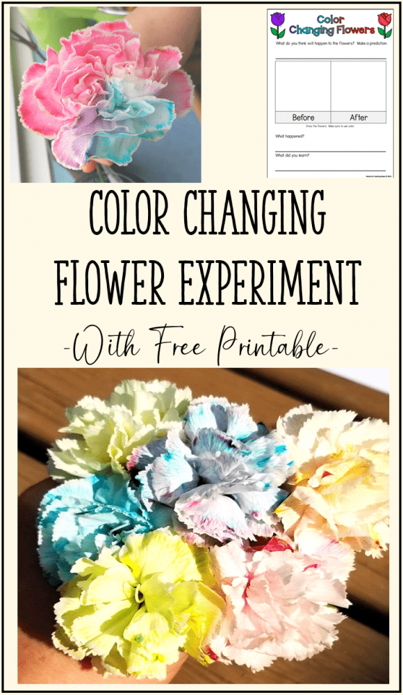 Spring Activities - Hands-On Teaching Ideas