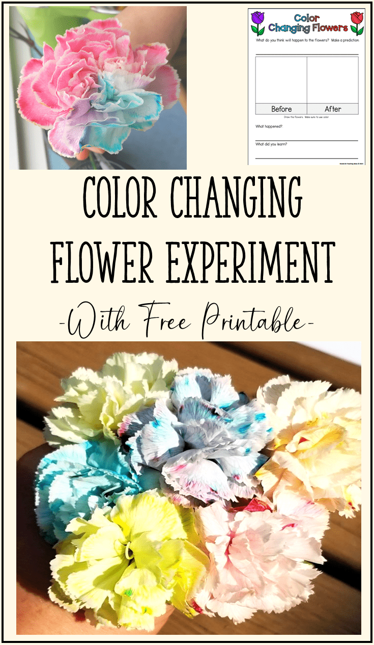 Spring Activities - Hands-On Teaching Ideas