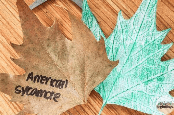 30 Simple Fall Kindergarten Learning Centers