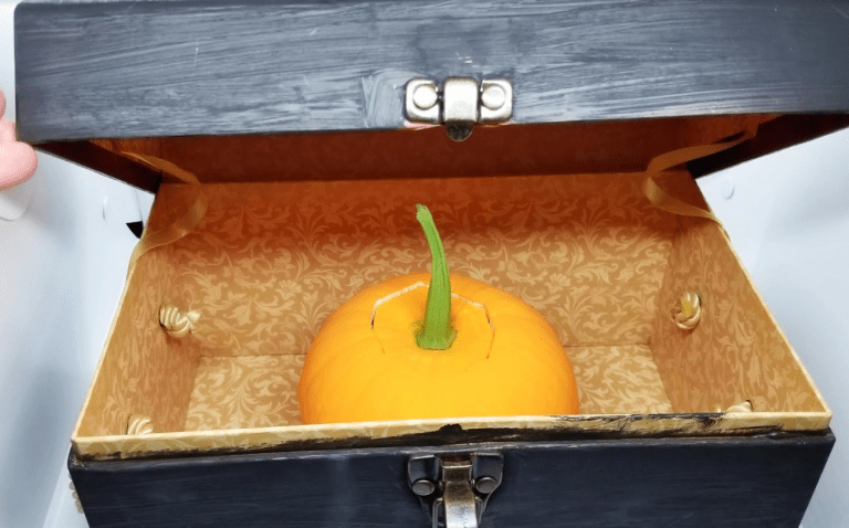 Make Your Own Escape Room for Fall