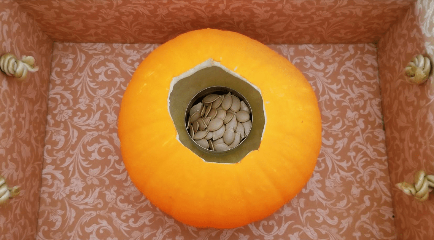 Make Your Own Escape Room for Fall