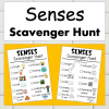 5 Senses Scavenger Hunt - Hands-On Teaching Ideas