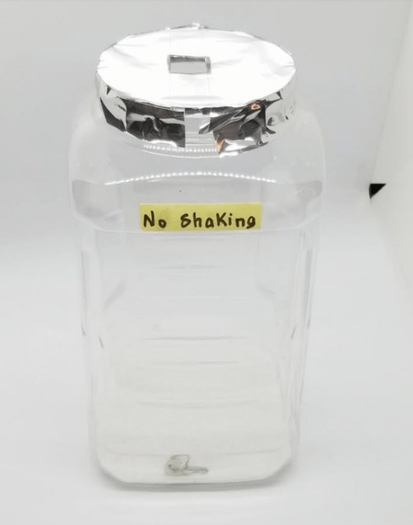 Ultimate STEM Escape Room Challenge for Kids