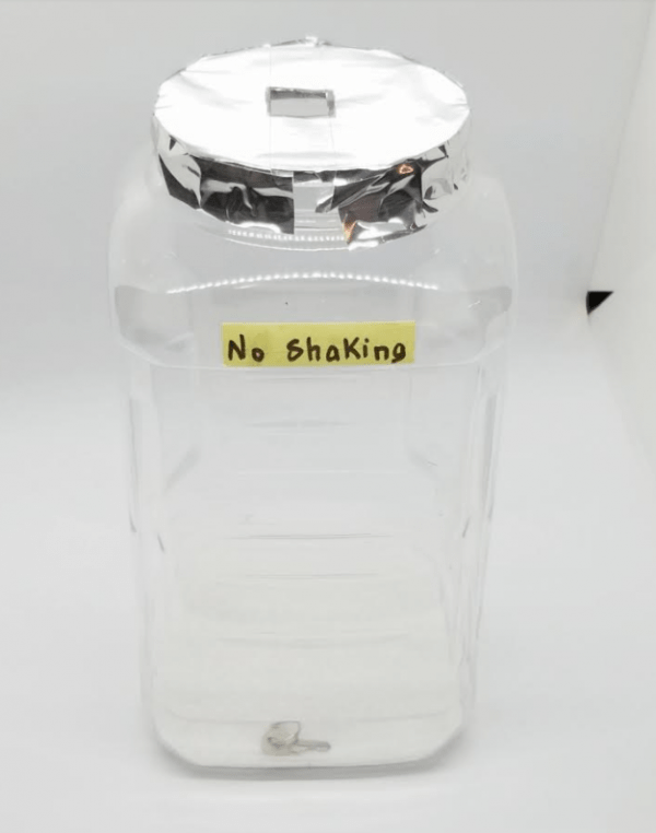 Ultimate STEM Escape Room Challenge for Kids