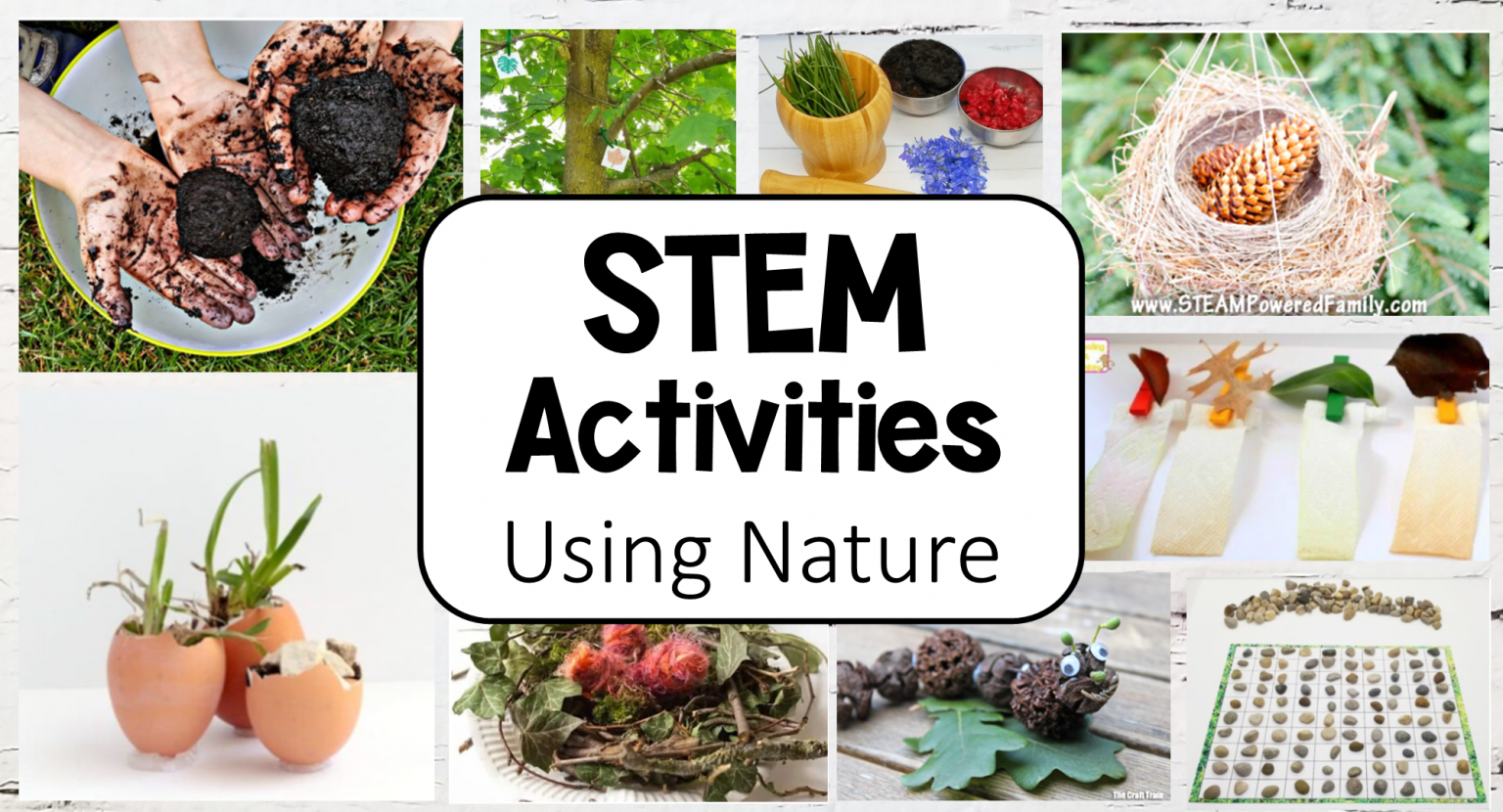 Science + STEM Archives - Hands-On Teaching Ideas