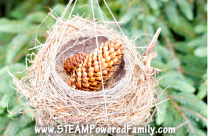 34 Best STEM Activities with Nature