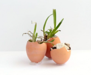 34 Best STEM Activities with Nature