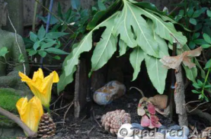 34 Best STEM Activities with Nature