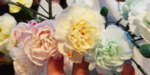 34 Best STEM Activities with Nature