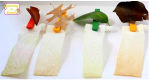 34 Best STEM Activities with Nature