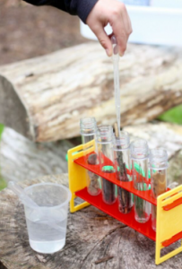 34 Best STEM Activities with Nature