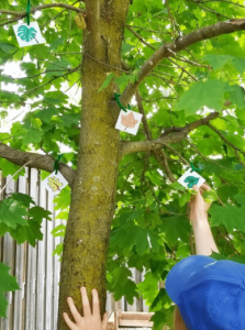 34 Best STEM Activities with Nature