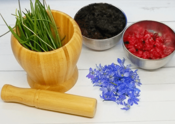 34 Best STEM Activities with Nature