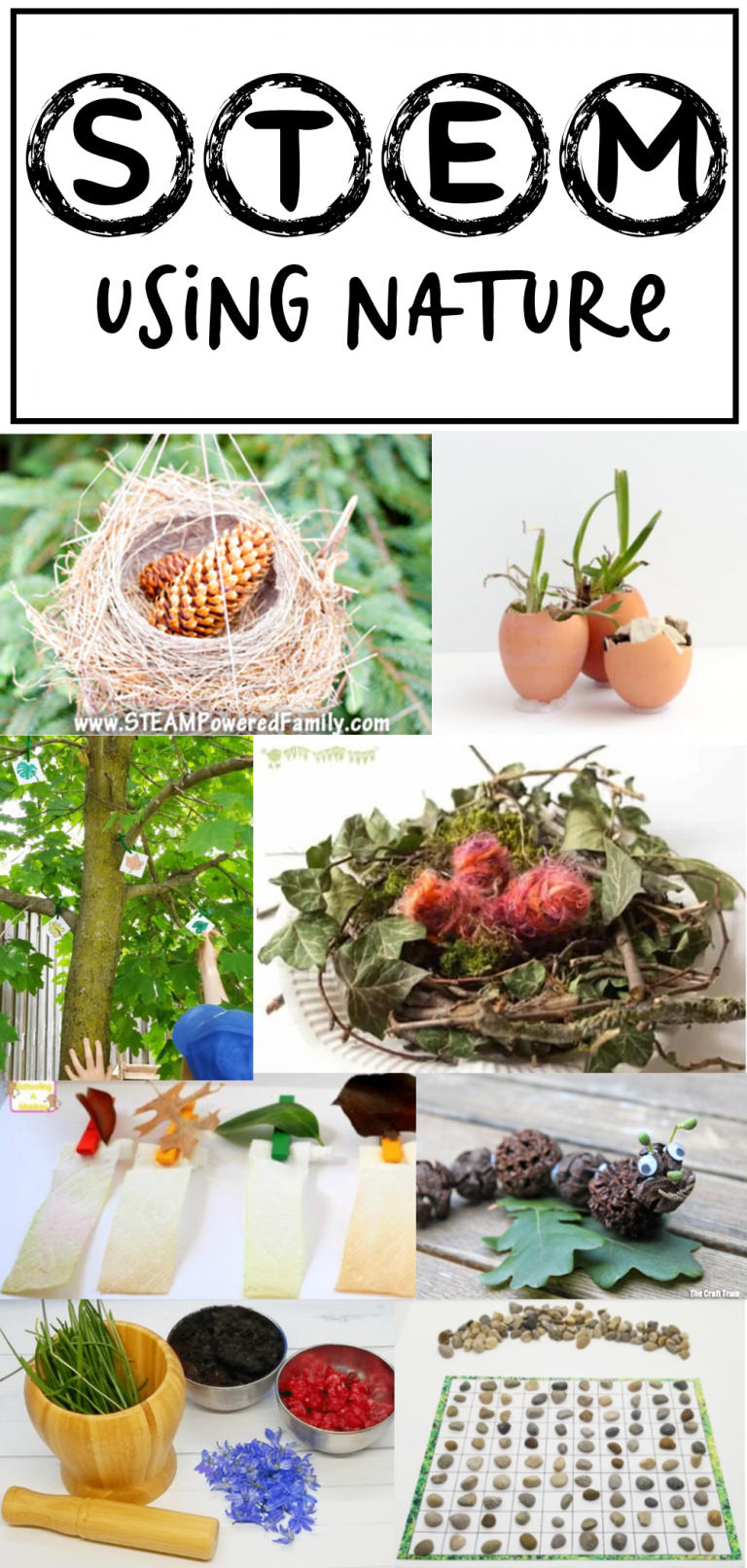 34 Best STEM Activities with Nature
