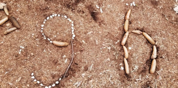 34 Best STEM Activities with Nature