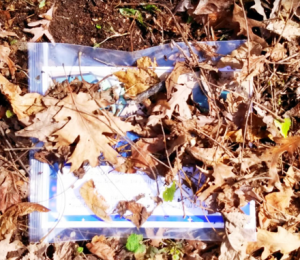 29 Best Outdoor STEM Activities for Kids - Hands-On Teaching Ideas ...