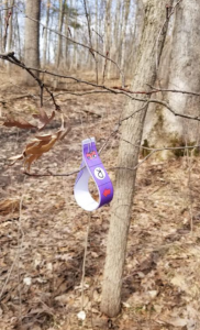 Printable Outdoor Escape Room Game for Camping