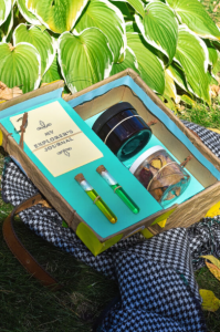 70 Best Summer Outdoor Learning Activities for Kids