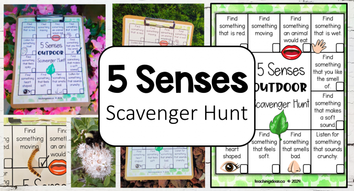Free 5 Senses Scavenger Hunt (Free Printable)