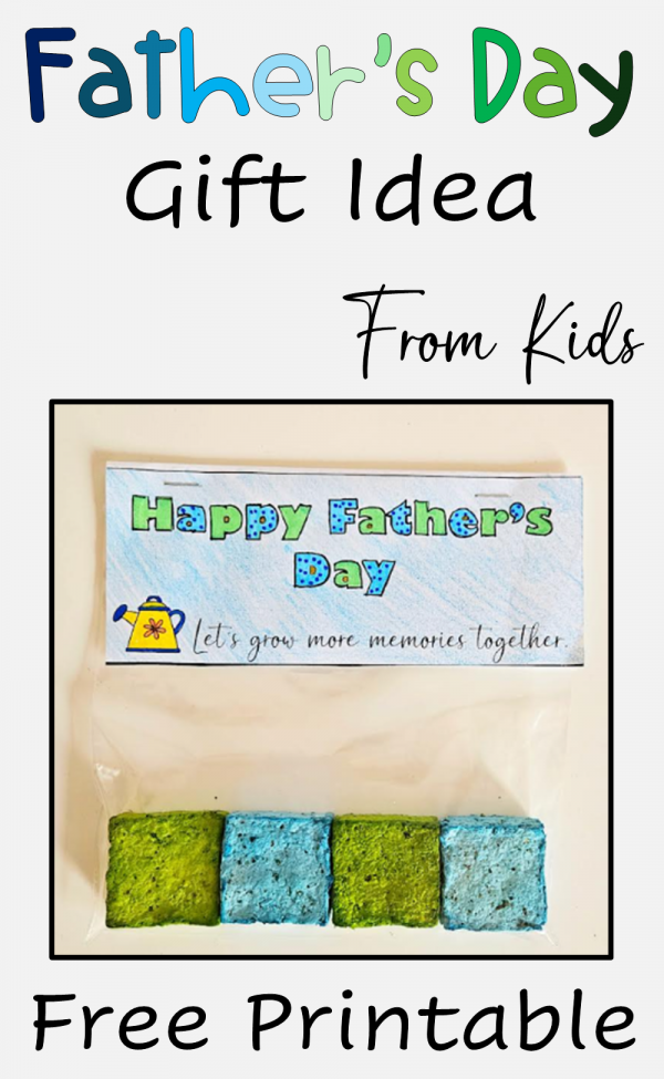 Free Fathers Day Scavenger Hunt (Printable Riddles)