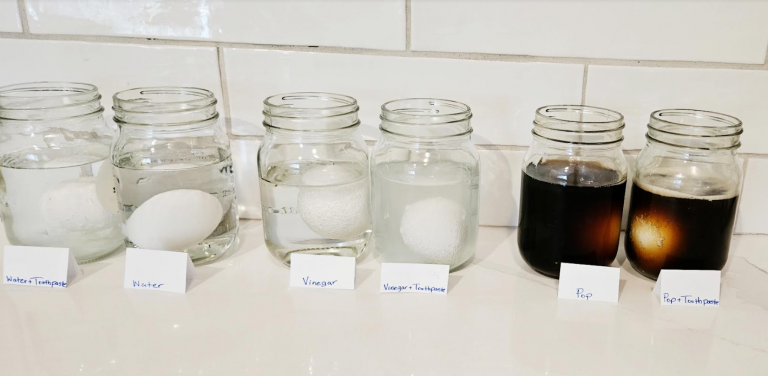 Best Egg and Toothpaste Experiment