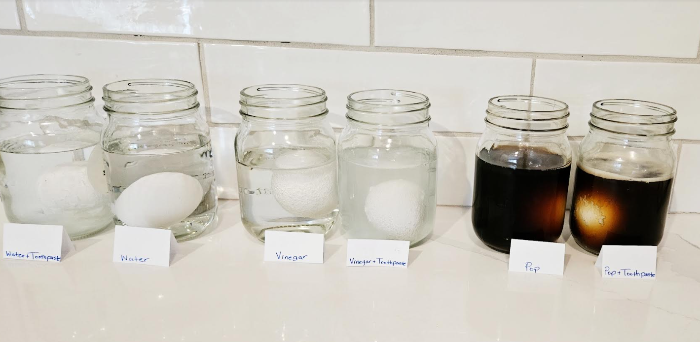 Best Egg and Toothpaste Experiment