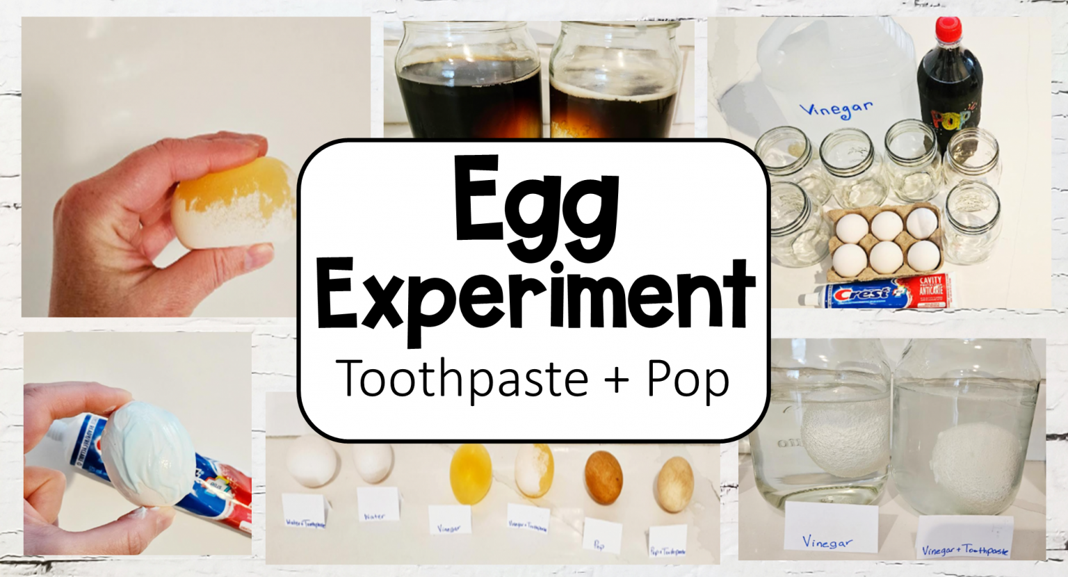 Science + STEM Archives - Hands-On Teaching Ideas