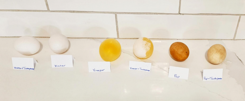 Best Egg and Toothpaste Experiment