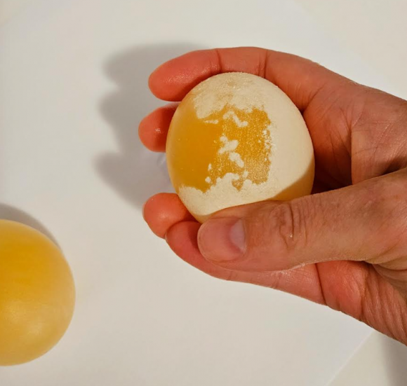 Best Egg and Toothpaste Experiment