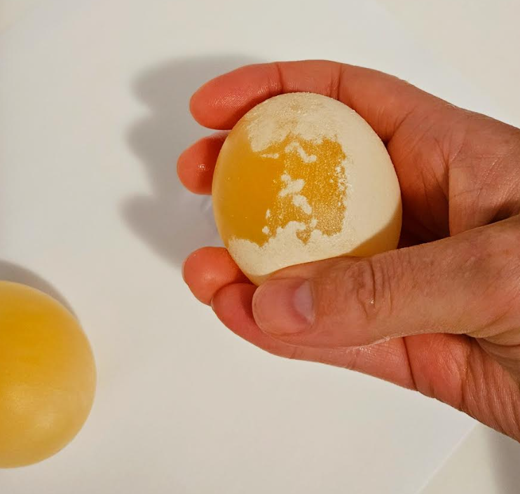 Best Egg and Toothpaste Experiment