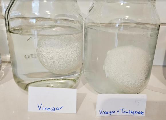 Best Egg and Toothpaste Experiment