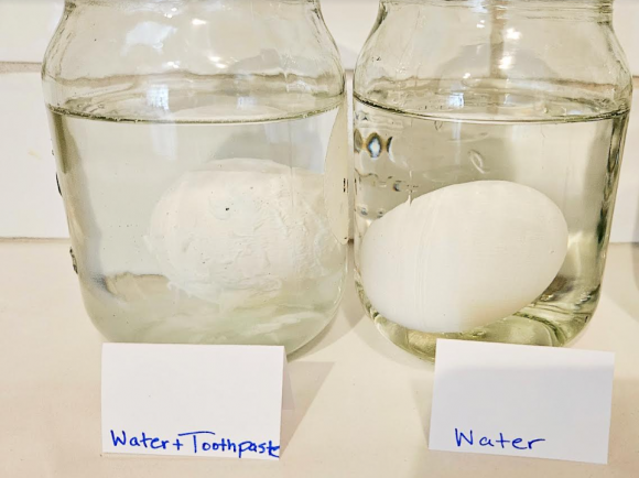 Best Egg and Toothpaste Experiment