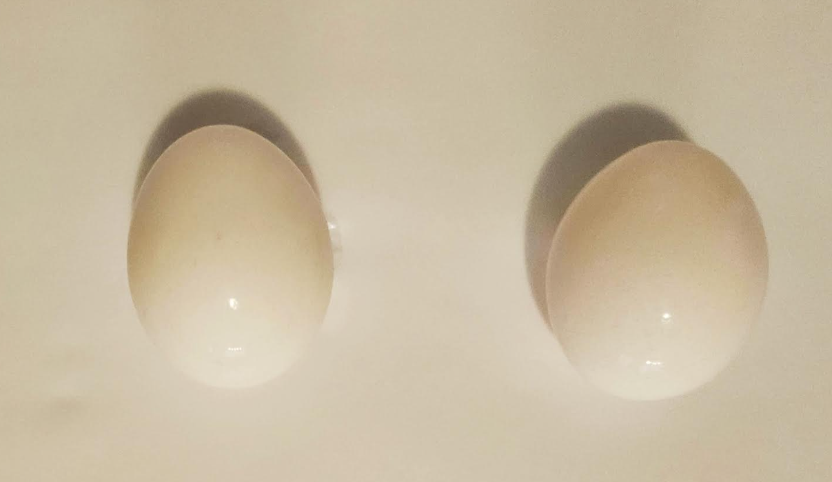 Best Egg and Toothpaste Experiment