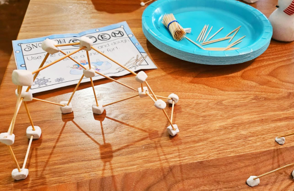 Winter STEM Challenge - Hands-On Teaching Ideas - Science + STEM