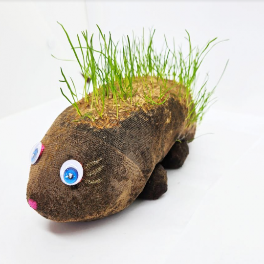 10+ Best Earth Day STEM Activities for Kids