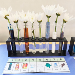 STEM Science Activity (Free Printable)