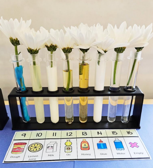 STEM Science Activity (Free Printable)