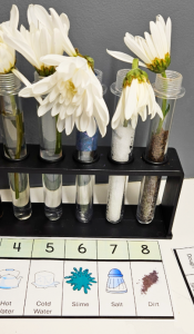 STEM Science Activity (Free Printable)