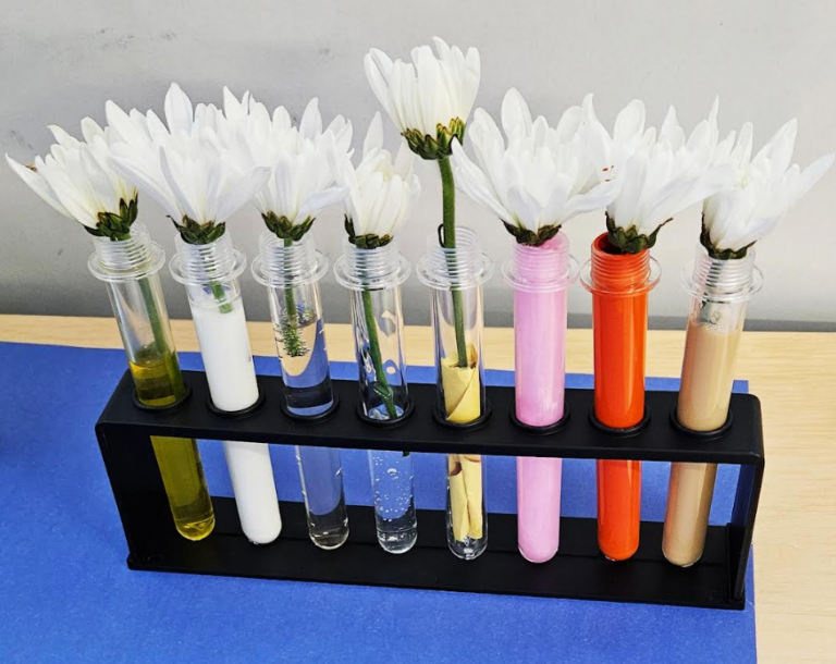 STEM Science Activity (Free Printable)