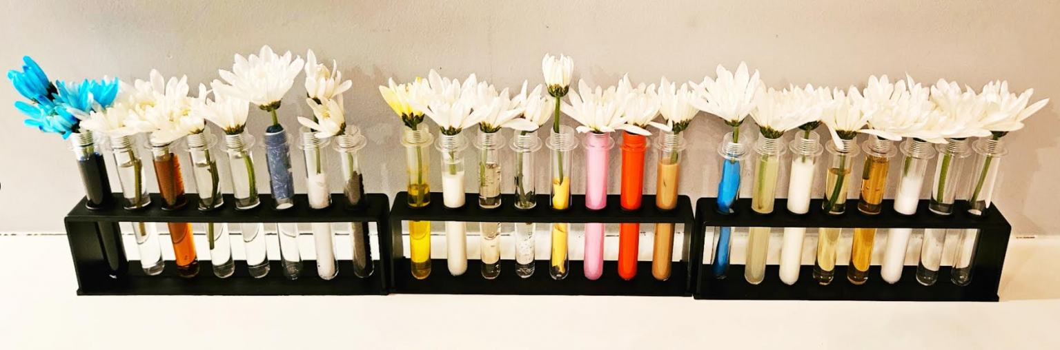 STEM Science Activity (Free Printable)