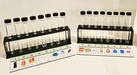 STEM Science Activity (Free Printable)