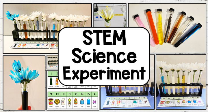 STEM Science Activity (Free Printable)